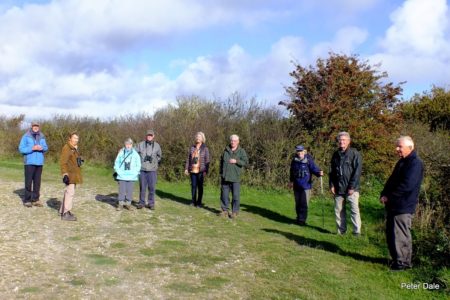 FCG Walk on the Gallops above Findon 22nd October | Ferring ...