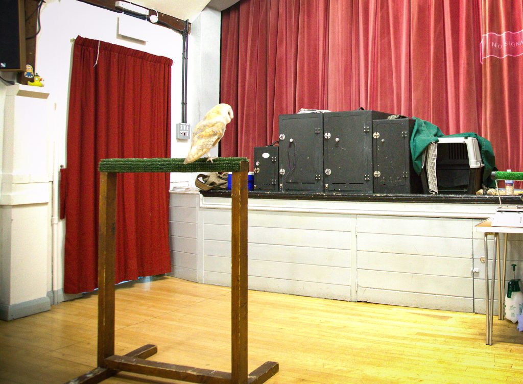 Ferring Conservation Group