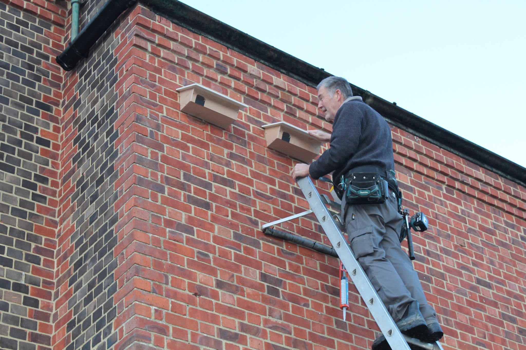 Swift nest boxes in Ferring | Ferring Conservation Group